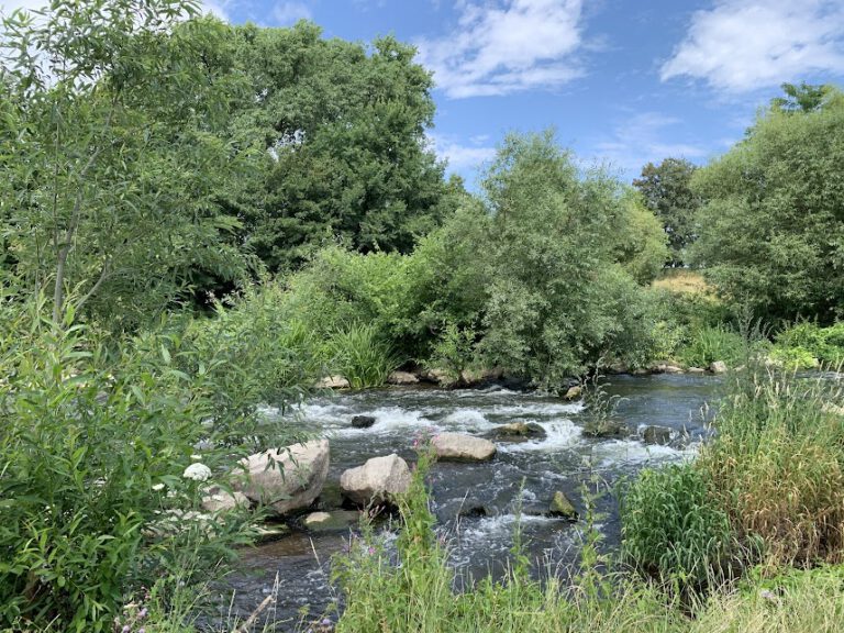 Der Fluss Nidda ist ein wichtiger Gewässerlauf in Frankfurt am Main ...